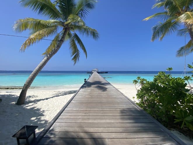 30+ Facts About the Maldives: Fun, Unique, and Interesting Facts You ...